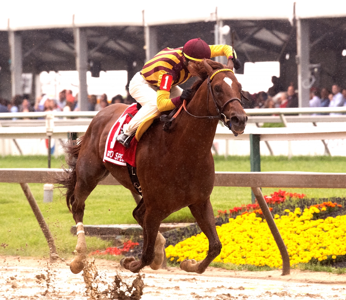 He’s Back! Irish War Cry Wins The Pimlico Special – Herringswell Stables
