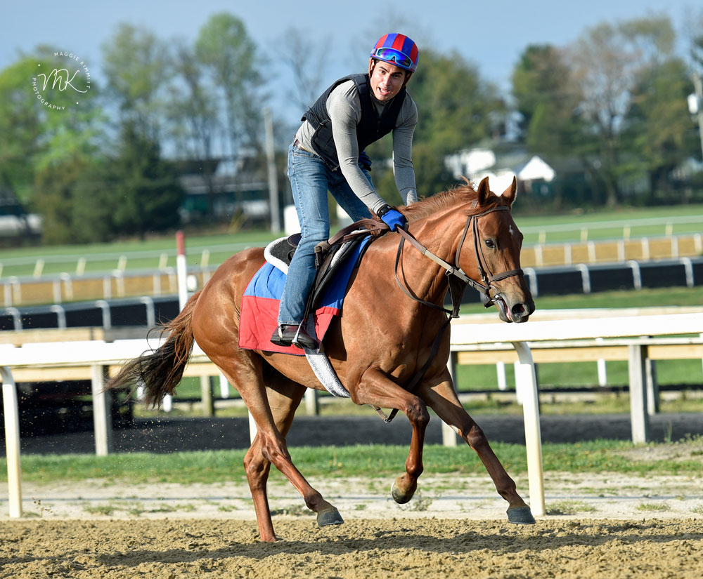 Active – Herringswell Stables