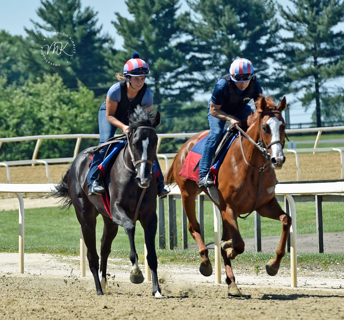 Amaretto Queen – Herringswell Stables