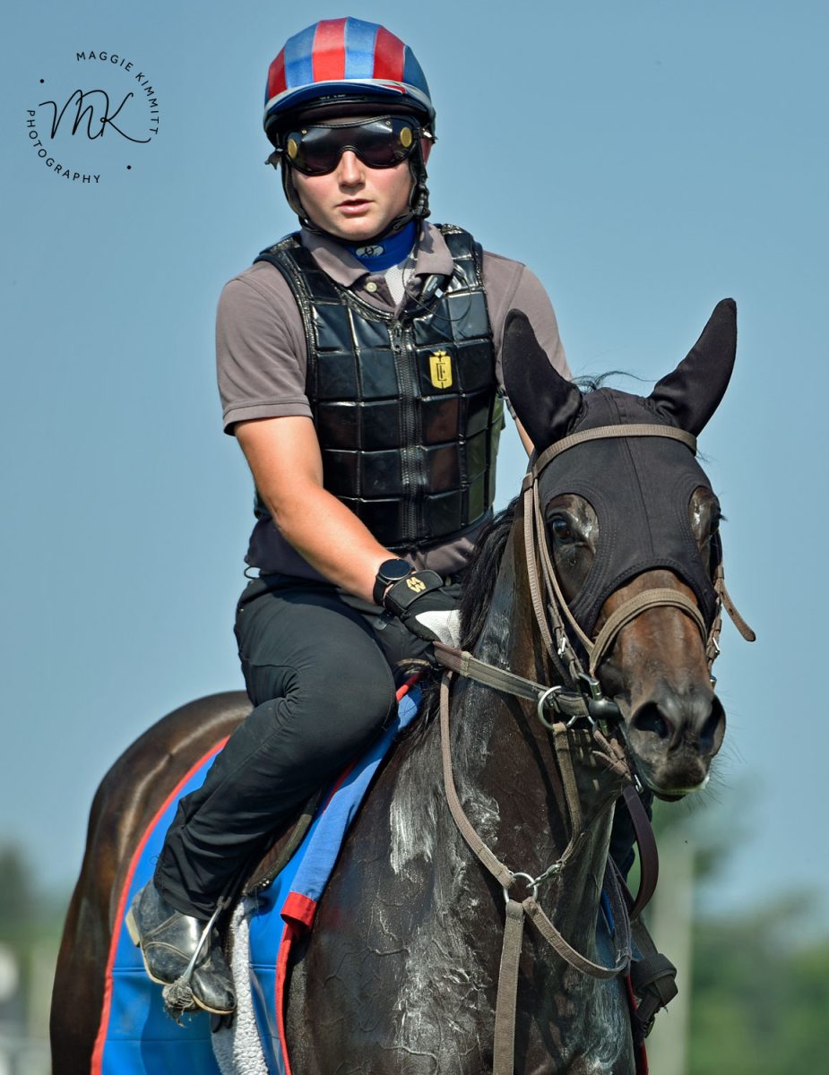 Screen Test – Herringswell Stables